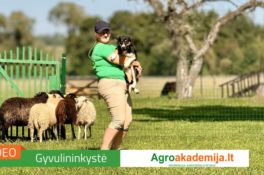 Pokalbis su Audrone Naruševiče: ūkininke, šunų dresuotoja ir pirmąja jų ...